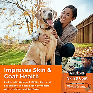 Nutri-Vet Skin & Coat Biscuits for Dogs - Tasty Dog Treat & Dog Skin and Coat Supplement - Small Sized Biscuit - Omega-3 and Biotin Dog Treat - 16 oz