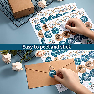 500 Pieces Mail Stickers Small Business Post Package Labels Thank You for Your Order Stickers for Businesses Online Shop Owners