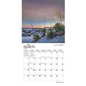 Texas Wild & Scenic | 2023 12 x 24 Inch Monthly Square Wall Calendar | Foil Stamped Cover | BrownTrout | USA United States of America Southwest State Nature