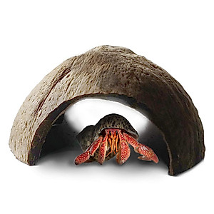 SunGrow Hermit Crab Huts, 5x3 Inches, Arthropod's Coconut Hide, Spacious Coco Tunnel, Use as Hermit Cave or Climber, 3-Pcs