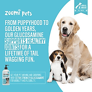 Zoomi Pets Liquid Glucosamine for Dogs (16oz) - Hip and Joint Supplement with Hyaluronic Acid, MSM, Manganese & Glucosamine Chondroitin for Dogs - Dog Joint Supplement Large Breed, Medium & Small Dogs
