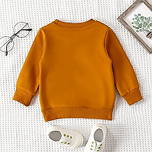 BOEBNOZCV Toddler Boy Girl Halloween Pumpkin Patch Sweatshirt Outfit Long Sleeve Oversized Sweater Shirts Fall Blouse Clothes (Brown Pumpkin Sweatshirt,7-8 Years)