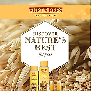 Burt's Bees Bundle Oatmeal Grooming Kit | Includes Oatmeal Dog Shampoo and Conditioner with Colloidal Oat Flour and Honey, and Double Sided Pin & Bristle Brush