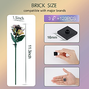 KIYOJIN Rose Flower Bouquet Building Set,Botanical Collection Rainbow Artificial Plant Compatible with Lego Gift for Adult Home Decor(Black 120pcs)