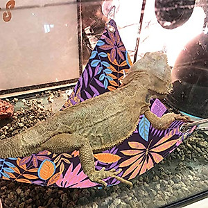 KUDES Bearded Dragon Hammock, Reptile Lizard Lounger Ladder Accessories Terrarium Habitat Decor for Large Small Bearded Dragons Geckos Lizards Snakes (Purple)
