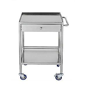 2-Layer Medical Trolley Stainless Steel Healthcare Trolley Mobile Care Car Clinic Carts Medical Laboratory Equipment Carts Spa Beauty Salon Tool Car (1 Drawer)