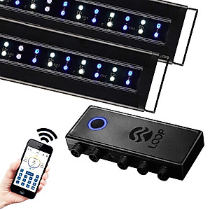 CURRENT USA PRO Dual 36-48" Inch Orbit Marine IC Loop LED Saltwater Reef Marine Aquarium Light with Bluetooth App Control | Wireless Lighting & eFlux Wave Pump Control for Fish Tank (4336)