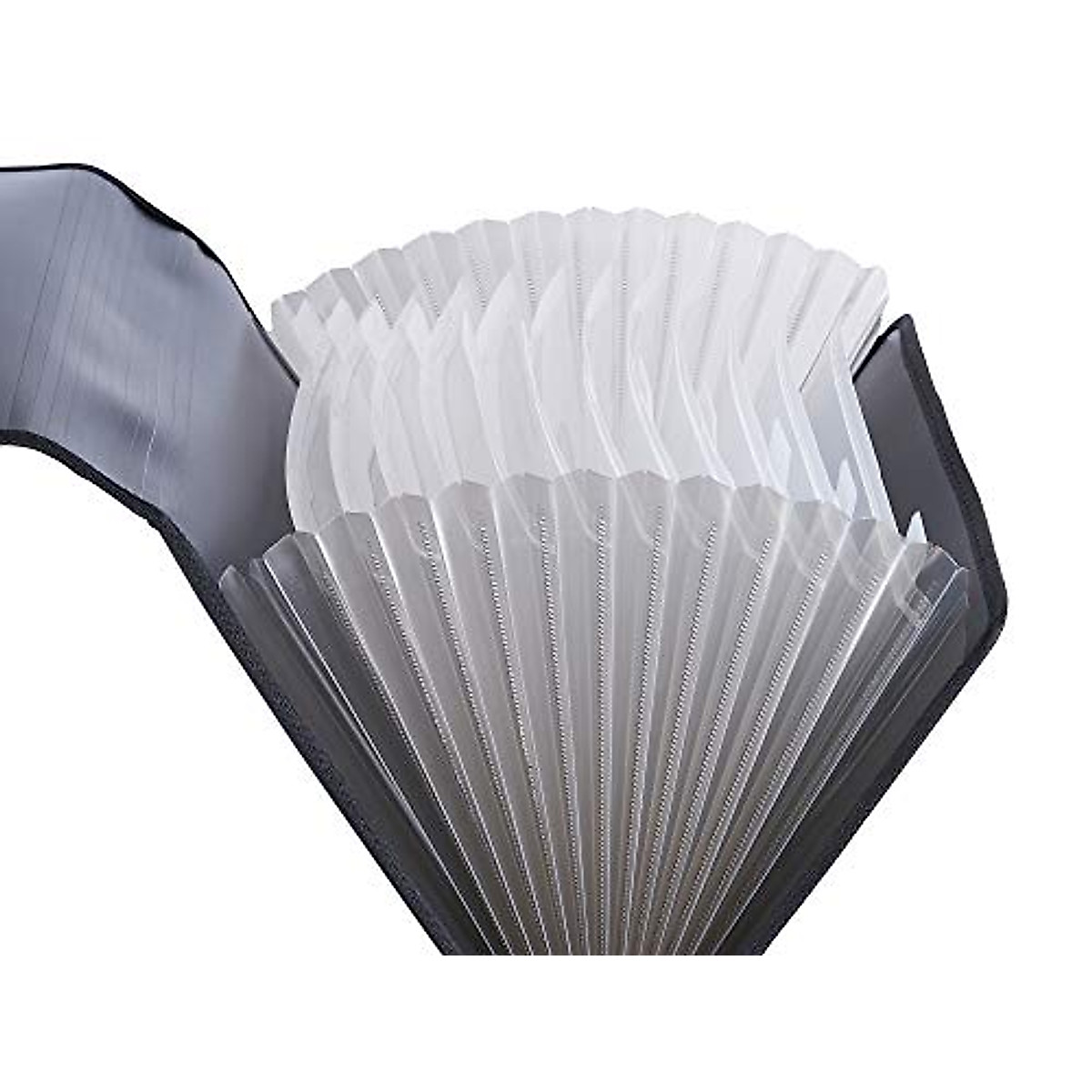 It's Academic Accordion File Organizer, Black Fabric, Notepad Included, 500 Sheet Capacity, 11 x 14 (98778-6D)