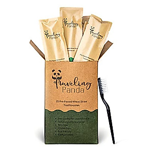 Traveling Panda Wheat Straw Toothbrushes Bulk, Soft Bristles Toothbrush with Toothpaste Built in, Travel Toothbrush Kit, Essentials for on The Go Teeth Brushing, 25 Mini Brushes