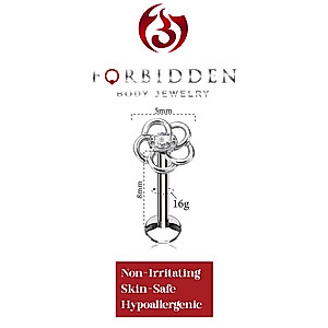 Forbidden Body Jewelry 16g 8mm Surgical Steel Tragus, Helix, Cartilage and Labret Stud with Clear CZ Centered Flower Top