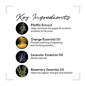 Rene Furterer TRIPHASIC Strengthening Shampoo, Thinning Hair, Scalp Microcirculation, Men & Women, 6.7 oz.