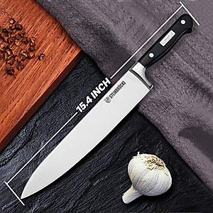 STEINBRÜCKE Chef Knife 10 Inch, Sharp Kitchen Knife Forged from German High Carbon Stainless Steel with Ergonomic Handle and Full Tang, Versatile Cooking Knife for Home Gourmet Restaurant
