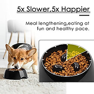 SUPERDESIGN Dog Slow Feeder Bowl 1/2 Cup Slow Feeding Dog Cat Bowls Slow Down Dog Bowl for Small Medium Large Breed Fun Feeder Slow Bowl Gulping Puppy Slow Feeder Bowl for Dry Wet Raw Food Non-Slip
