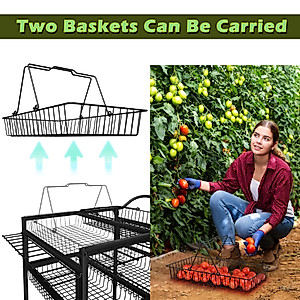 ztysn Yard Tool Organizer for Garage, Garden Tool Rack Heavy Duty Garden Cart Garden Tool Holder Shovel Rack Lawn Tool Storage Utility Shelves Fruit and Vegetable Storage System(70 * 60CM)