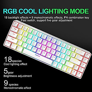 60% Mechanical Gaming Keyboard and Mouse and Mouse pad and Gaming Headset,4 in 1 Wired 68 Keys LED RGB Backlight Bundle for PC Gamers,Xbox,PS4 Users (White/Red Switch)