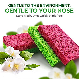 AIRNEX Biodegradable Cellulose Compressed Sponges - Pack of 24 Kitchen Sponges for Cleaning - Heavy Duty and Natural Multipurpose Household Cleaning Sponges Good for Kitchen, Bathroom, and Surfaces