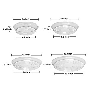 TRUEDAYS 20 Pack Plant Saucers (6 inch / 8inch / 10inch / 12inch) Clear Plant Saucers Flower Pot Tray Excellent for Indoor & Outdoor Plants