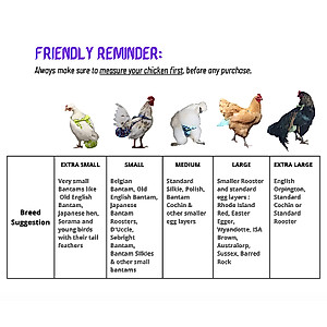 Washable Chicken Diapers for Hens or Roosters - Fashionable Nappy - Pet Chicken Diaper (Star Spangle, Small)