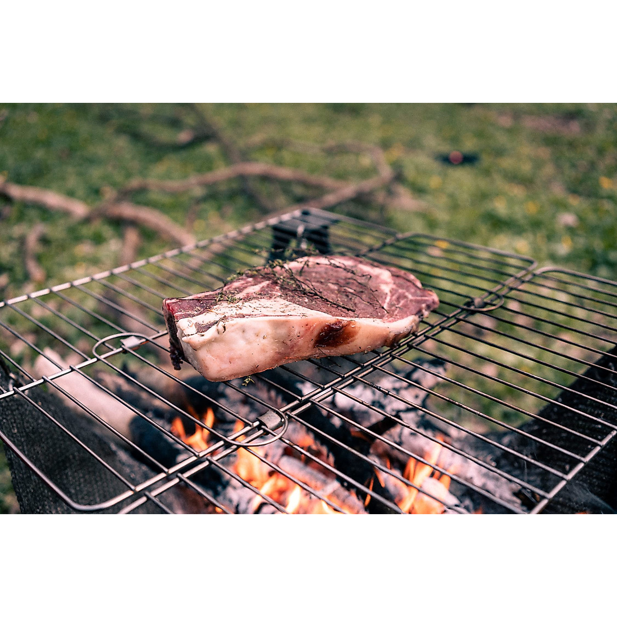 DesignNest, FoldingFire BBQ Grill, Foldable, Portable Firepit with Stainless Steel Cooking Grate, Campfire, Outdoor Fire Pit, Bonfire, Backyard Fireplace, Carrying Bag Included, Medium, Black