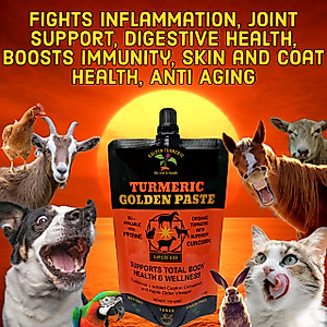 Turmeric Golden Paste for Pets 7 OZ (200grams)