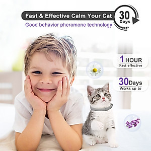 Anipaw Calming Collar for Cats 6 Pack Cat Calming Collar Relaxing Cat Pheromone Collar Adjustable Breakaway Design for Small Medium Large Cats Kitten Peeing Relieve Anxiety and Stress(Grey)