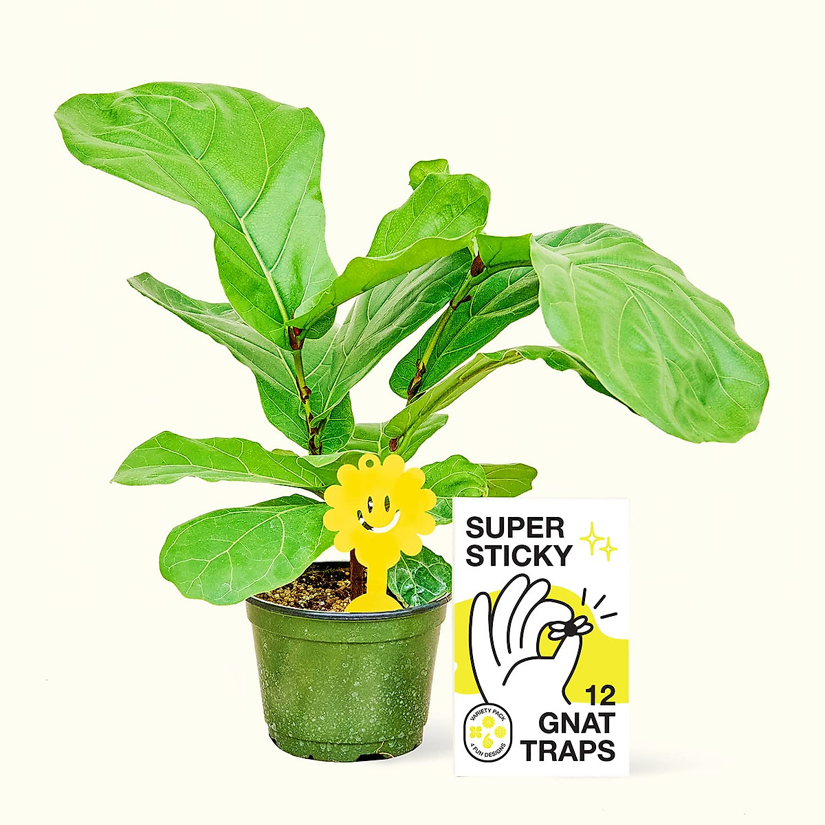 Super Sticky Gnat Traps 12PK