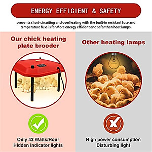 GIFANK Chicken Brooder Heating Plate for Chicks and Ducklings 16” x 16” Temperature Adjustable LED Display Adjustable Height,Safer Than Brooder Lamps Heater,Keeps Up to 30 Chicks Warm,42W