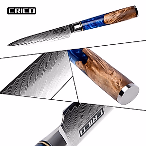 CRICO Paring Knife 5 inch, Kitchen Utility Knife, Fruit Paring Knives, VG10 Damascus Super Steel Forged 67-Layers, Full Tang Wood&Resin Handle, Gift Box - Flow Series