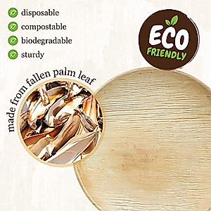 brheez Palm Leaf Plates 25 Ct (12 Inch) - Eco Friendly, Compostable & Biodegradable - Elegant Bamboo Look Disposable Party Plates are Heavy Duty and More Environmentally Friendly than Paper Plates