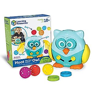 Learning Resources Hoot the Fine Motor Owl - 6 Pieces, Ages 18+ Months Toddler Learning Toys, Fine Motor and Sensory Toys for Toddlers, Educational Toys for Toddlers