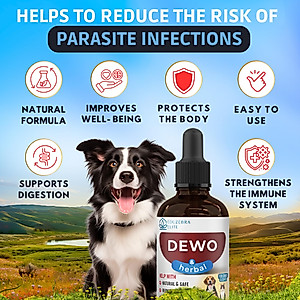 Cats and Dogs Natural Broad Spectrum Treatment - Against Parasites and Toxins - Herbal Medicine Support - All Breeds and Size - Puppy & Kitten