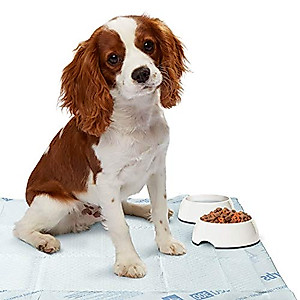 Medline Ultrasorbs Advanced Premium Disposable Underpads with SlipResist Technology, 30" x 36", 70 Count