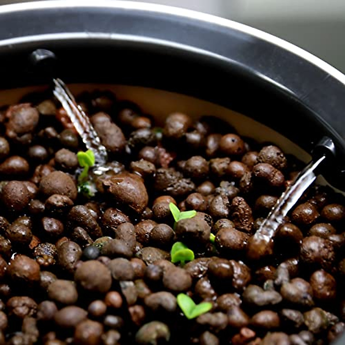 Botanium Hydroponic and Automatic Indoor Gardening Pot, White