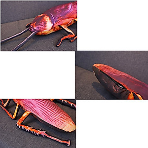 Creative Cockroach Plush Pillow 3D Animal Insect Stuffed Throw Pillow Funny Home Sofa Car Decoration Play Toy Doll Unique Birthday Gift (55 CM=21.5 in)