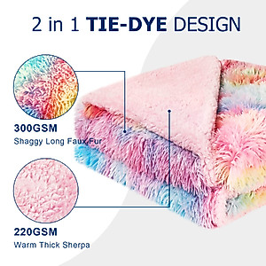 DANGTOP Faux Fur Throw Blanket, Tie Dye Fluffy Blanket, Super Soft Rainbow Blanket for Girls, Luxury Cozy Warm Plush Thick Sherpa Throws for Bed Couch Living Room (Rainbow, 50X60 inches)