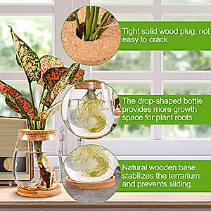 Biggun Plants Propagation Station - Desktop Plant Terrarium Glass Hydroponic Vases Water Plant Propagating Jars Gardening Gifts for Women Mom Plant Lovers (2Pcs, Separated Style)