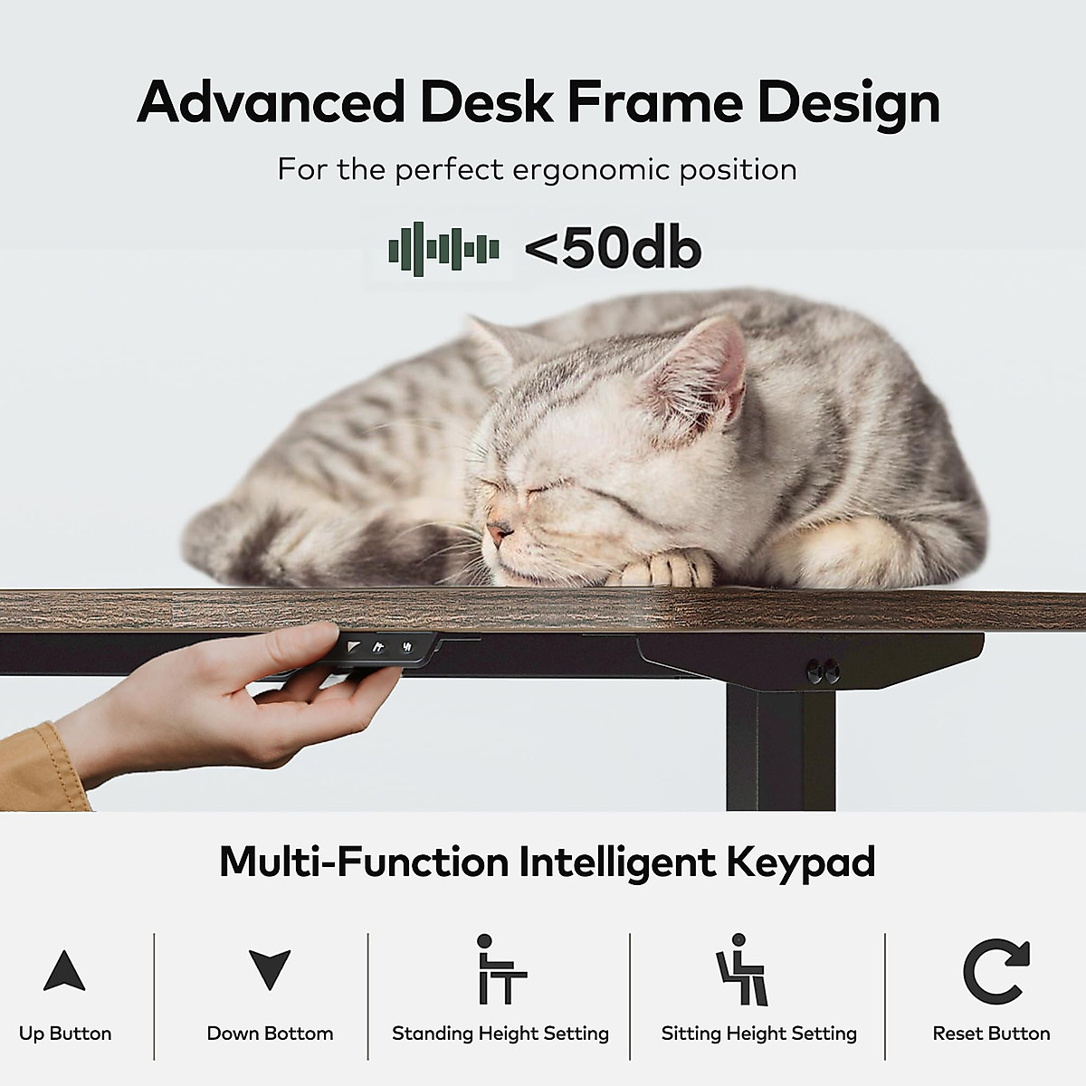 FAMISKY Electric Standing Desk, 63 x 24 Inches Height Adjustable Desk, Ergonomic Home Office Computer Workstation with Vertical Splice Board, Rustic Brown