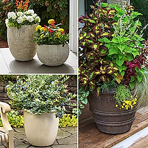 20 Pack Pot Feet for Outdoor Planters - Invisible Plant Risers for Medium and Large Sized Heavy Pots - 3/4" Elevators - Work Great On Patio and Deck Use - Made in USA
