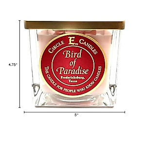 Circle E Candles, Bird of Paradise Scent, Large Size Jar Candle, 43oz, 4 Wicks