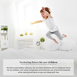 Pizuna Cotton Sheets Queen Size, 300 Thread Count Long Staple Cotton Soft Sateen Sheets Queen with 15inch Deep Pocket (Combed Checks Luxury Anthracite Grey Cotton Sheets Queen)