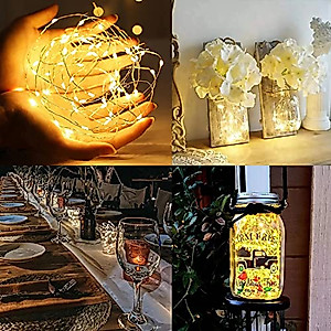 LEDIKON 24 Pack Led Fairy Lights Battery Operated,3.3ft 20 LED Silver Wire Warm White Firefly Lights,Waterproof Mini Led String Lights for Wedding Party Mason Jars Centerpieces Table Decor