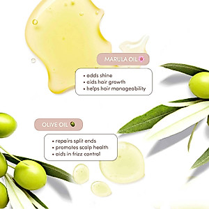 Mizani True Textures Moisture Replenish Shampoo | Smooths & Hydrates | with Coconut Oil | Sulfate & Paraben-Free | for Curly Hair | 16.9 Fl Oz