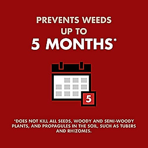 Spectracide Weed-Killers, 1.3 gal - 4 count, Clear