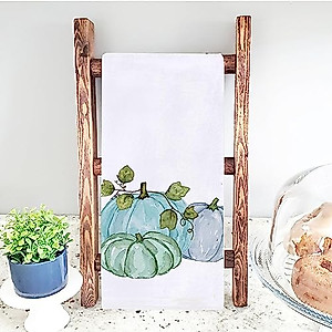 Secarond Fall Pumpkin Kitchen Dish Towel 18 x 28 Inch Set of 2, Autumn Harvest Thanksgiving Pumpkins Farmhouse Holiday Tea Towels Dish Cloth for Cooking Baking