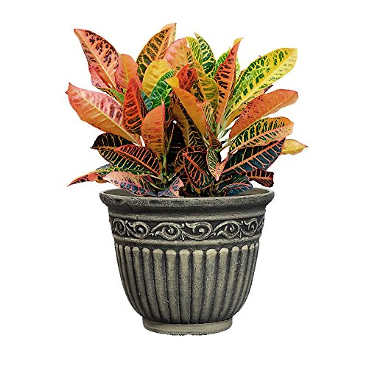 Classic Home and Garden 9475-060 Umbria Planter, 12" Planter, Ivory Ash