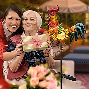 Tryme Solar Lights Outdoor Decorative Rooster Garden Decor Chicken Crackle Glass Globe Stake Lights Waterproof Warm White LED Yard Decor for Pathway Lawn Patio Courtyard Backyard