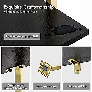 Axeman 5-Tier Ladder Bookcase, Tall Narrow Bookshelf for Small Spaces, Modern Book Storage Organizer Case Open Shelves for Bedroom, Living Room, Office, Library, Gold Metal Frame and Black Shelf