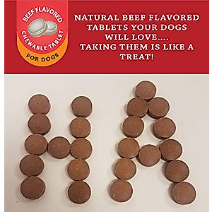 Hyalogic Pro Advanced HyaFlex for Dogs – Amazing Joint Support Supplement for Your Buddy – 30 Beef Flavored Wafers - Dog Joint Supplement w/Hyaluronic Acid, Glucosamine, MSM & Cynatine (30 Tablets)