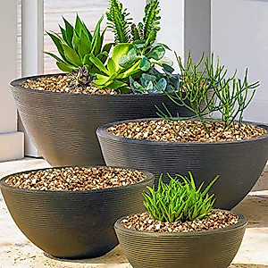 Halatool 4 QT Horticulture Vermiculite Professional Soil Addictive Coarse Grade Vermiculite for Plants Gardening Mushrooms Seed Starting