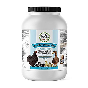 FRESH EGGS DAILY Poultry Probiotics Feed Supplement Vitamins for Backyard Chickens and Ducks 6LB